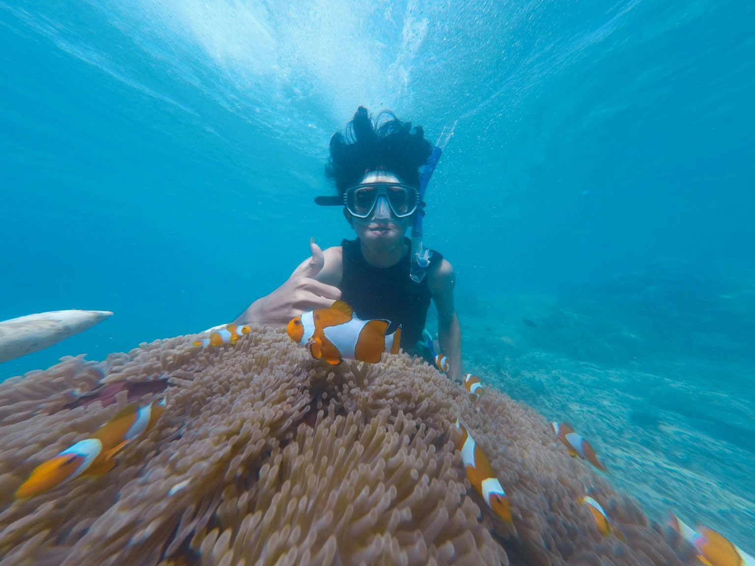 «Playa Bahia de Cata: Un Paraíso Tropical en Venezuela. Actividades ...